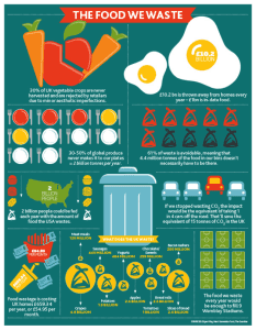 Part I of III: Food Waste Around the World