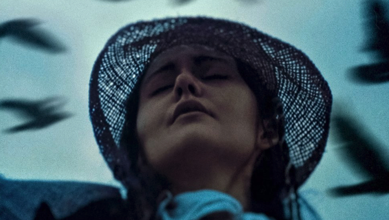 Critically Acclaimed Indigenous Artist Jayli Wolf Releases New Single ...